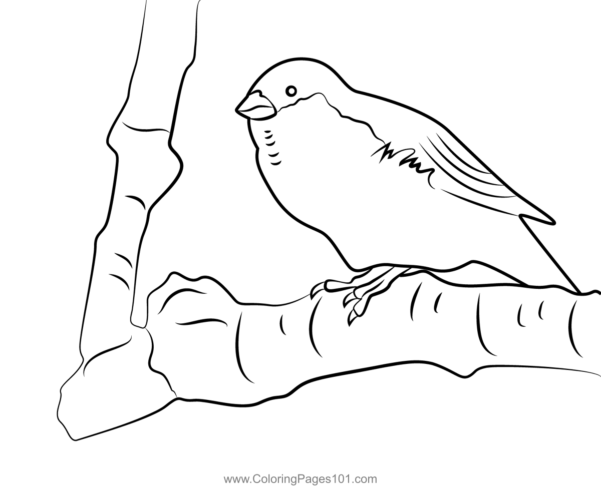 Tree Branches Coloring Page