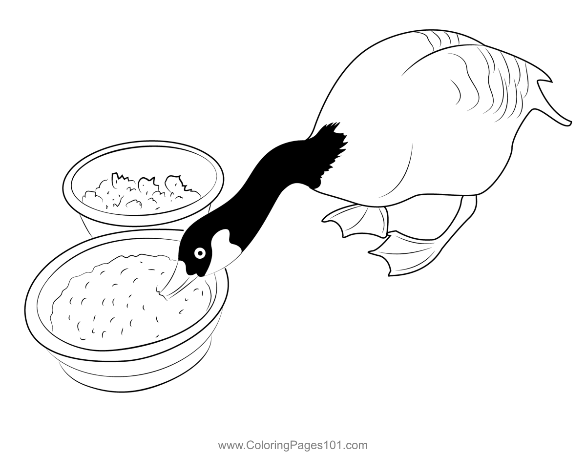 A Goose Drinks From A Food Bowl Coloring Page for Kids - Free Swans and ...