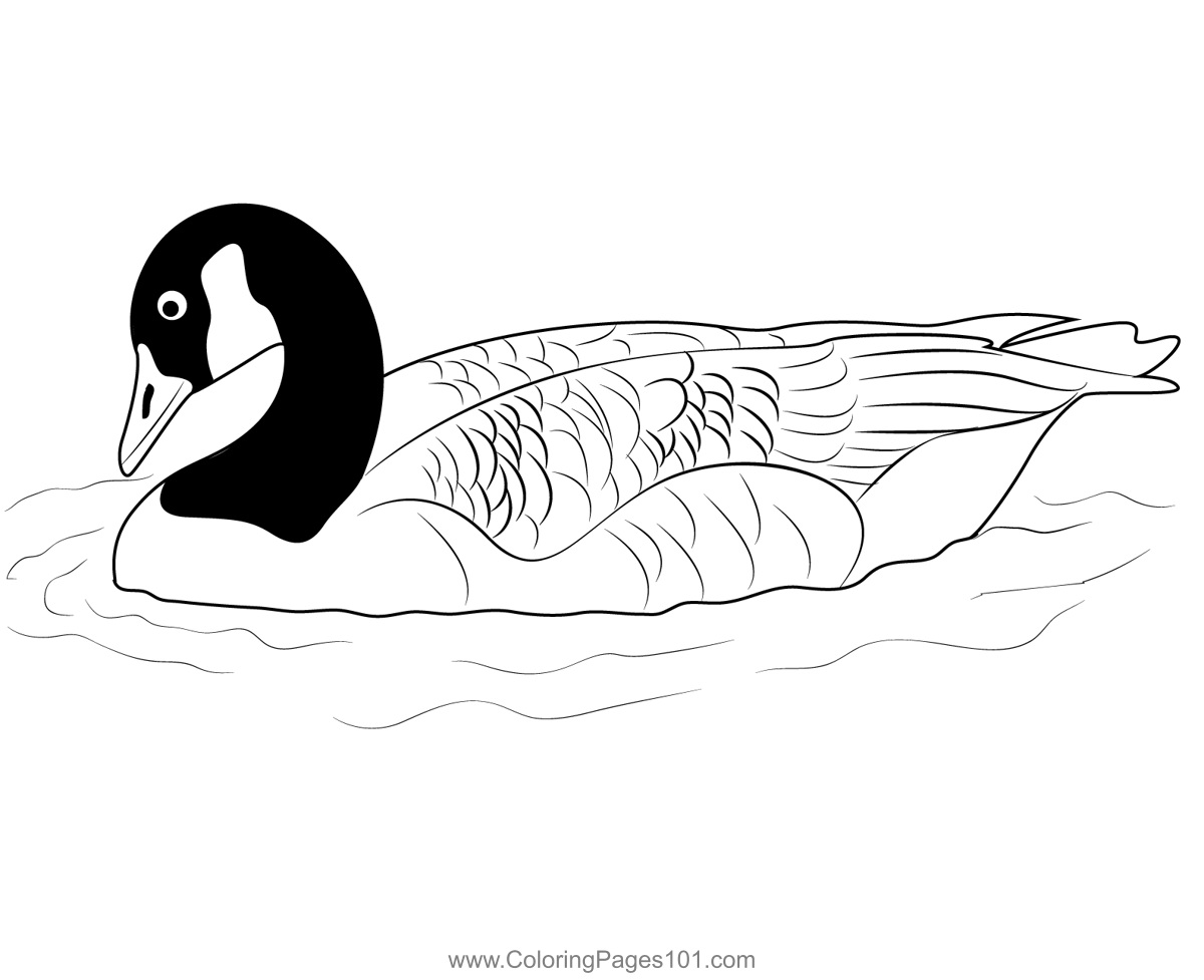 Adult Canada Goose Coloring Page for Kids - Free Swans and Geese ...