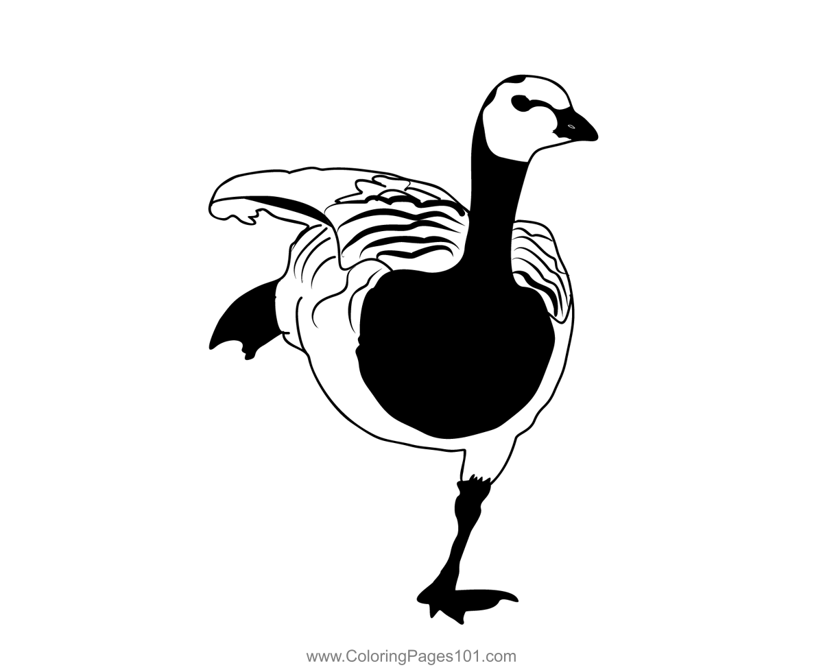 Barnacle Goose 3 Coloring Page for Kids - Free Swans and Geese ...