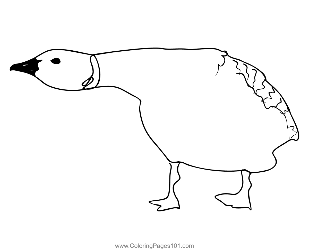 Brent Goose 2 Coloring Page for Kids - Free Swans and Geese Printable ...
