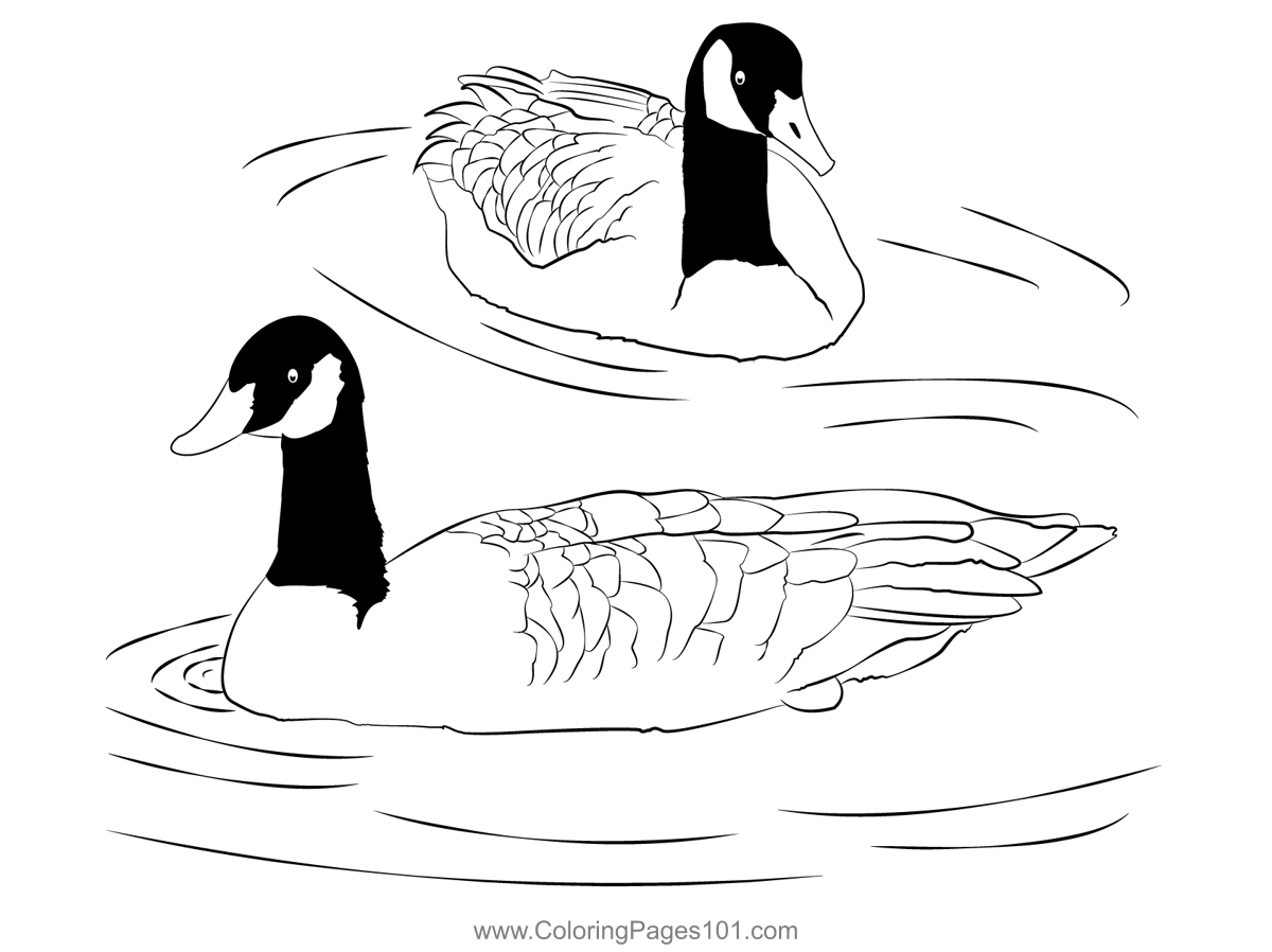 Canada Goose 5 Coloring Page for Kids - Free Swans and Geese Printable ...