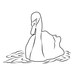 Swan Bird In Water Coloring Pages for Kids - Download Swan Bird In ...