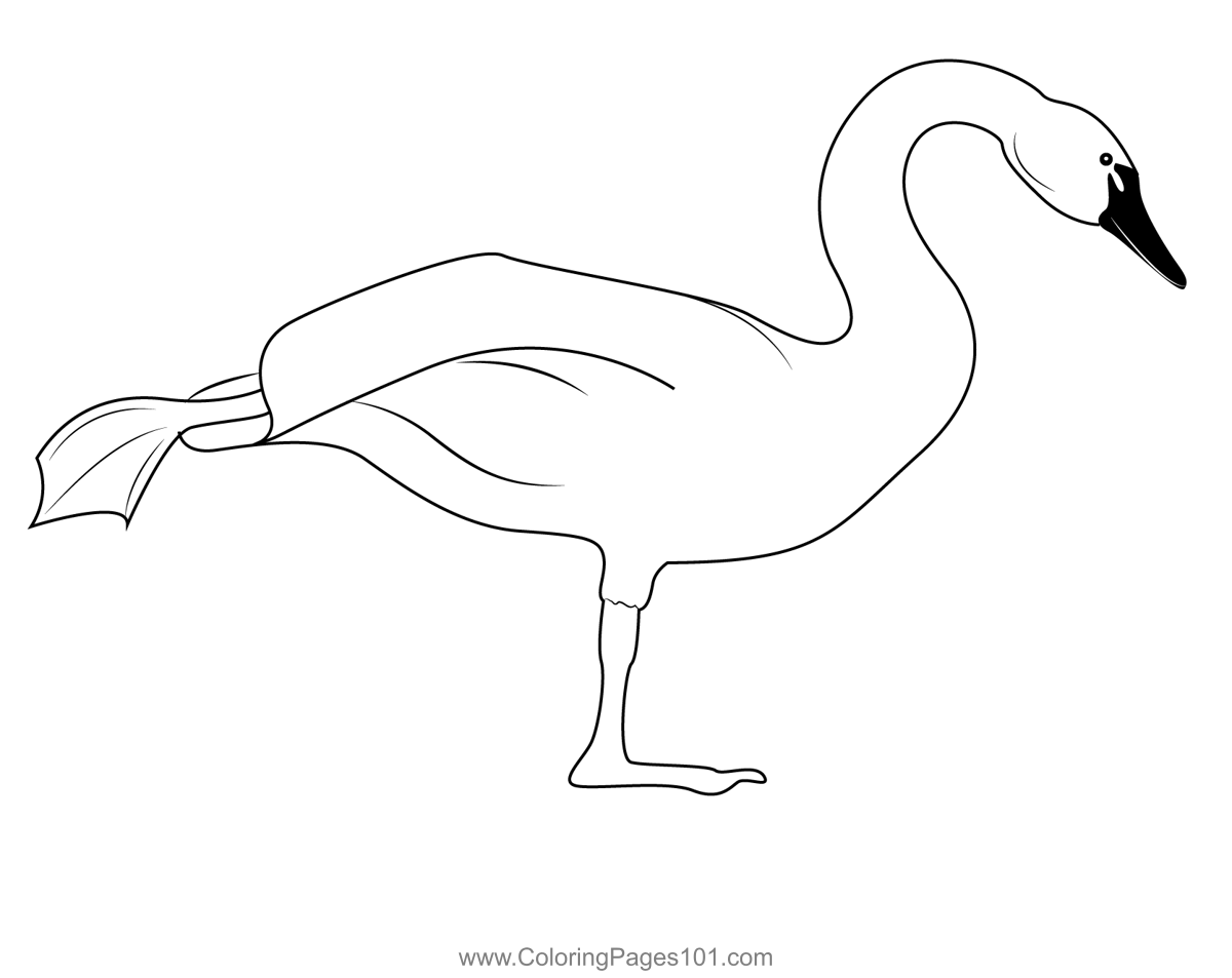 Swan Coloring Page for Kids - Free Swans and Geese Printable Coloring ...