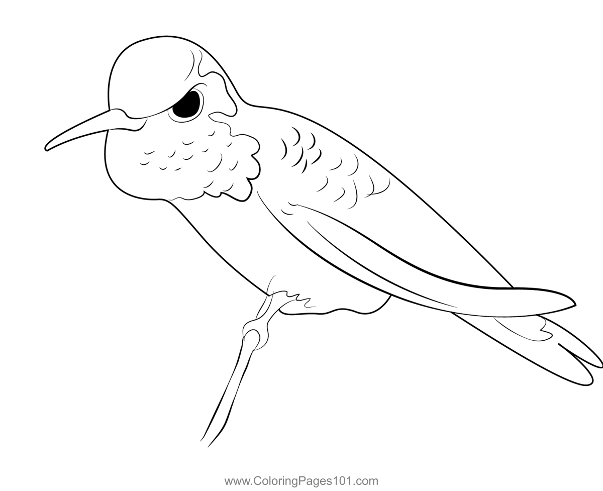 Annas Hummingbird Coloring Page for Kids - Free Swifts and Hummingbirds ...