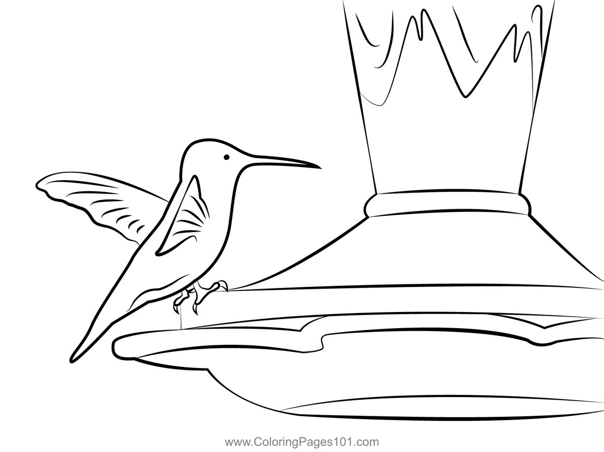 Colorful Hummingbird Sitting Coloring Page for Kids - Free Swifts and ...