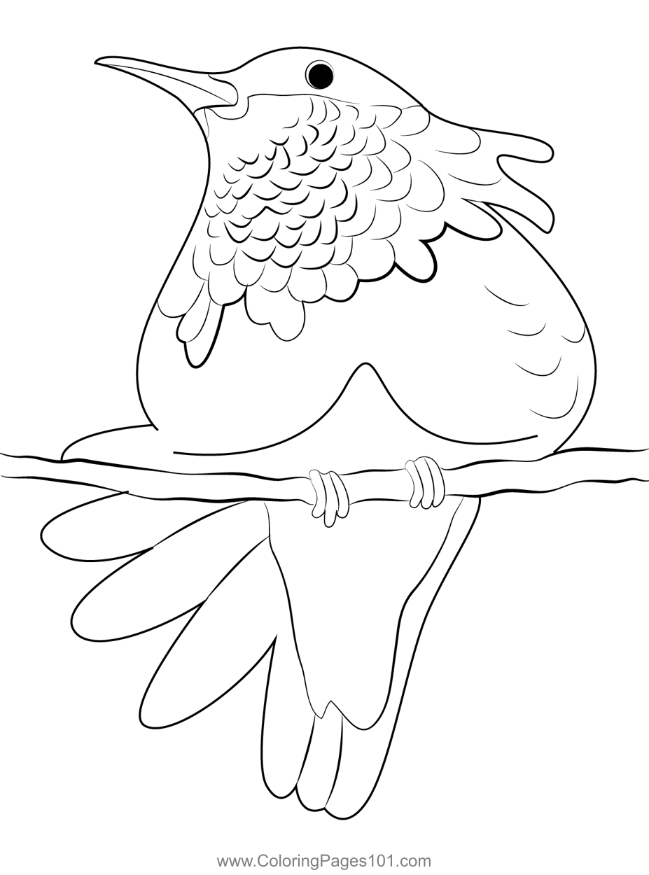 Hummingbird Wine Coloring Page for Kids - Free Swifts and Hummingbirds ...