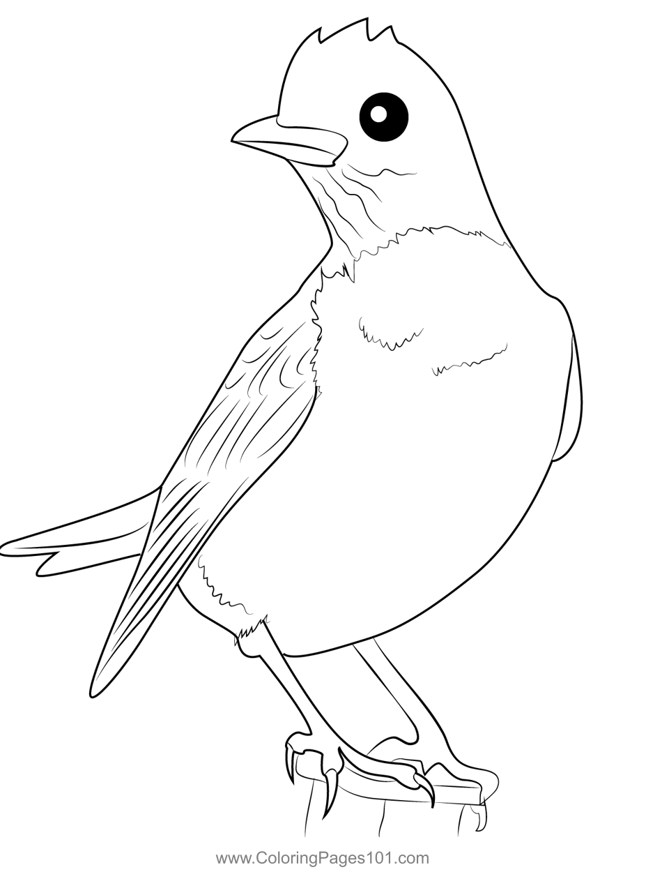American Robi 1 Coloring Page for Kids - Free Thrushes Printable ...
