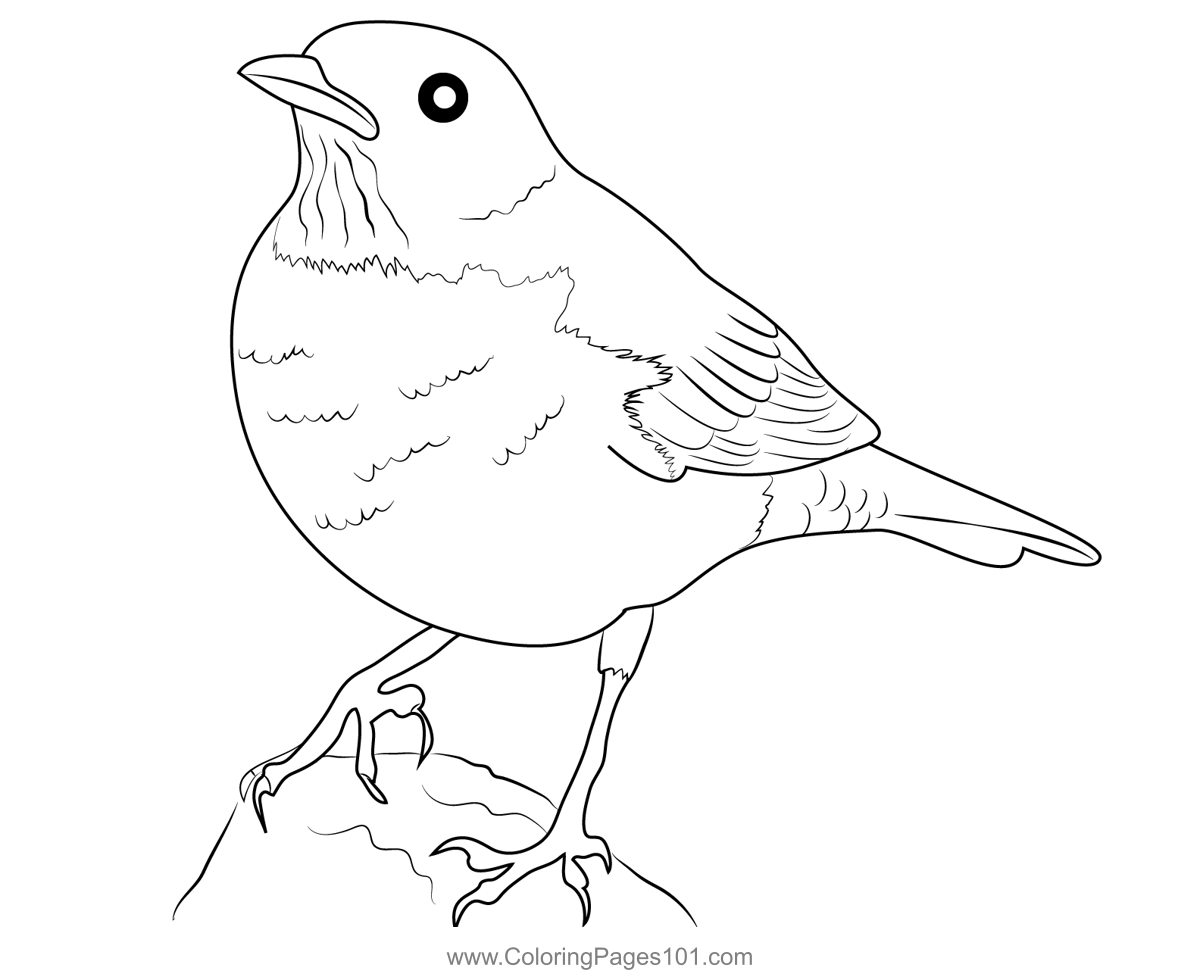 American Robi Coloring Page for Kids - Free Thrushes Printable Coloring ...
