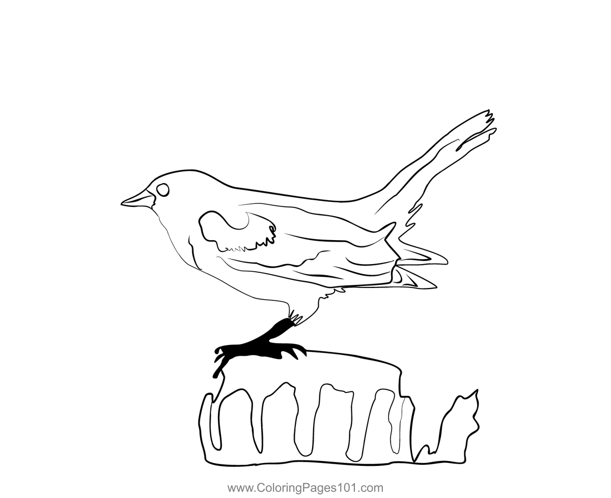 Blackbird 2 Coloring Page for Kids - Free Thrushes Printable Coloring ...