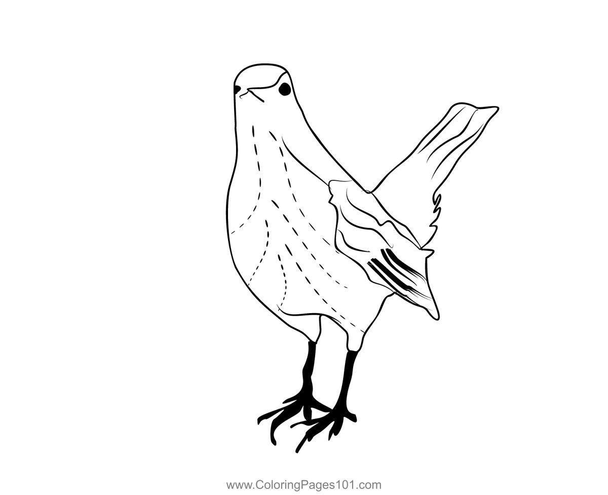 Blackbird05 Coloring Page for Kids - Free Thrushes Printable Coloring ...