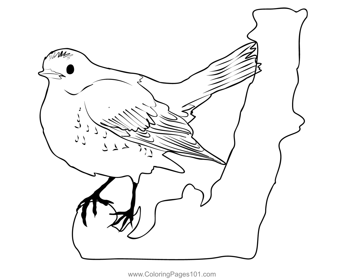 Fieldfare 2 Coloring Page for Kids - Free Thrushes Printable Coloring ...