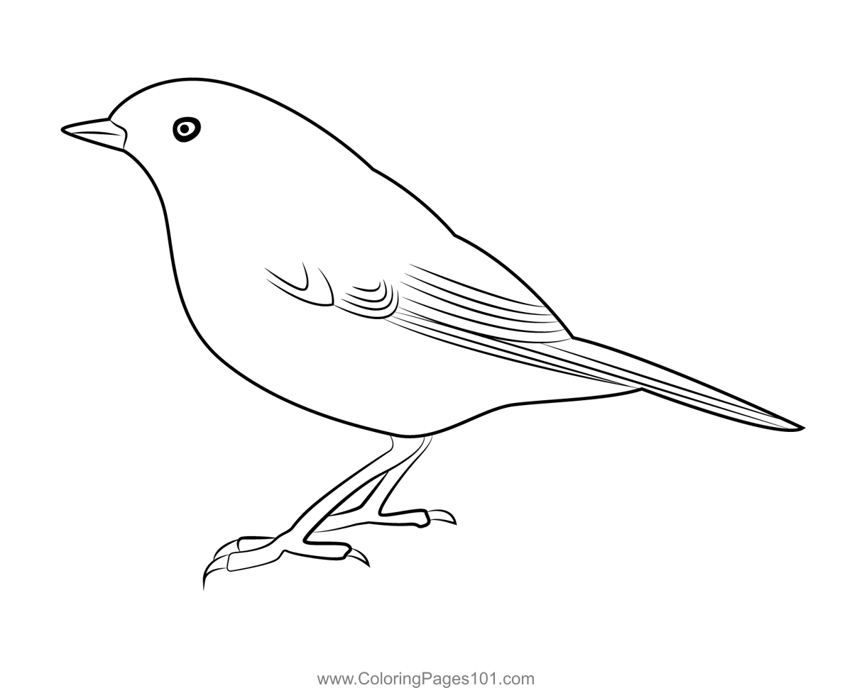 Robin Red Breast Bird Coloring Page for Kids - Free Thrushes Printable ...