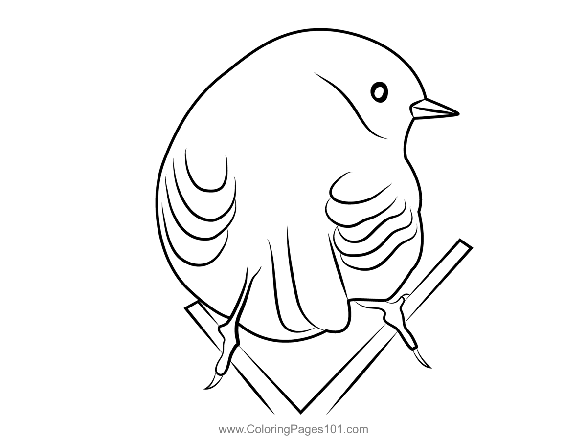 Robin Coloring Page for Kids - Free Thrushes Printable Coloring Pages ...