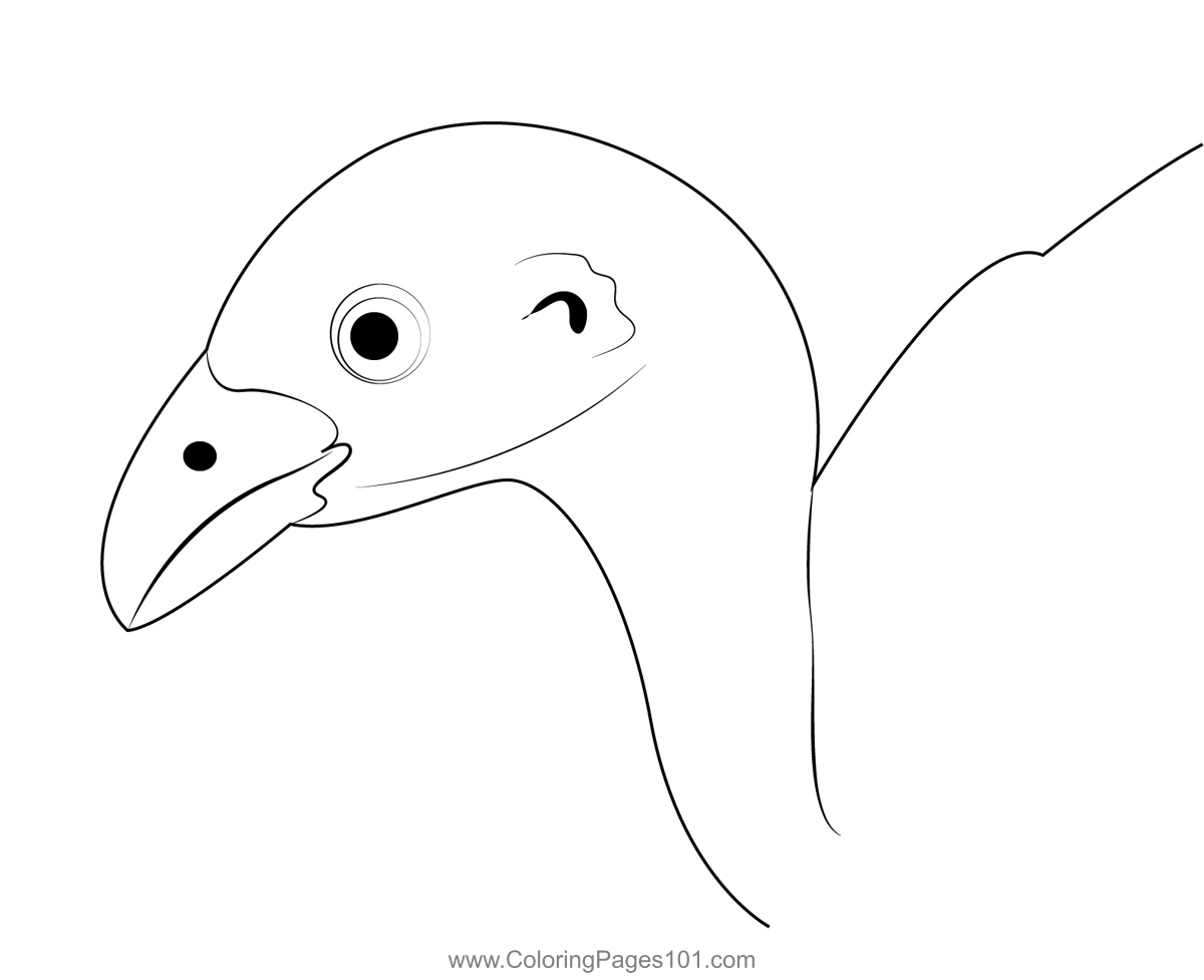Brush Turkey Head Coloring Page for Kids - Free Turkeys Printable ...