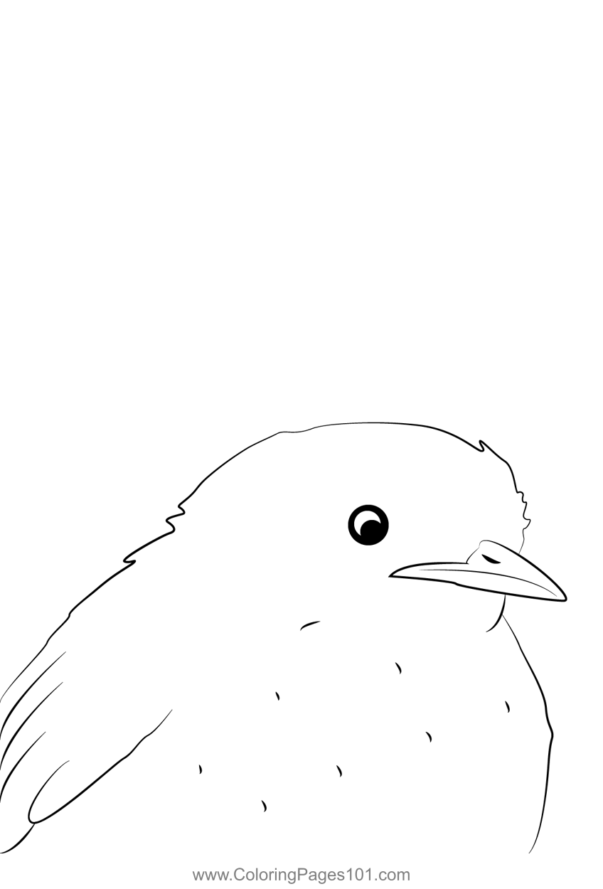 Certti's Warbler 12 Coloring Page for Kids - Free Warblers Printable ...