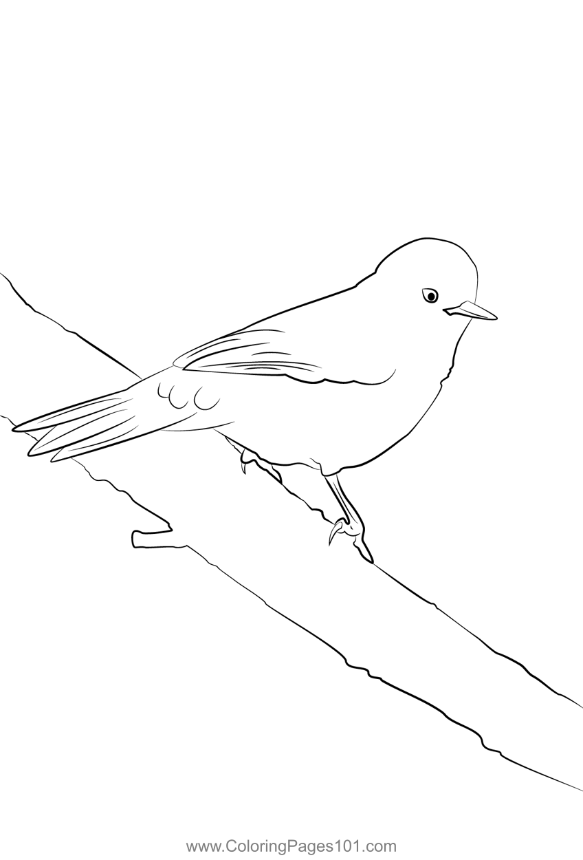 Certti's Warbler 4 Coloring Page for Kids - Free Warblers Printable ...