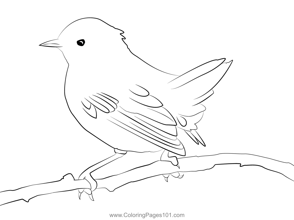 Certti's Warbler 5 Coloring Page for Kids - Free Warblers Printable ...