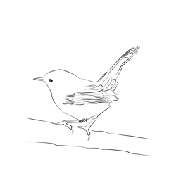 Warblers Coloring Pages for Kids Printable Free Download ...