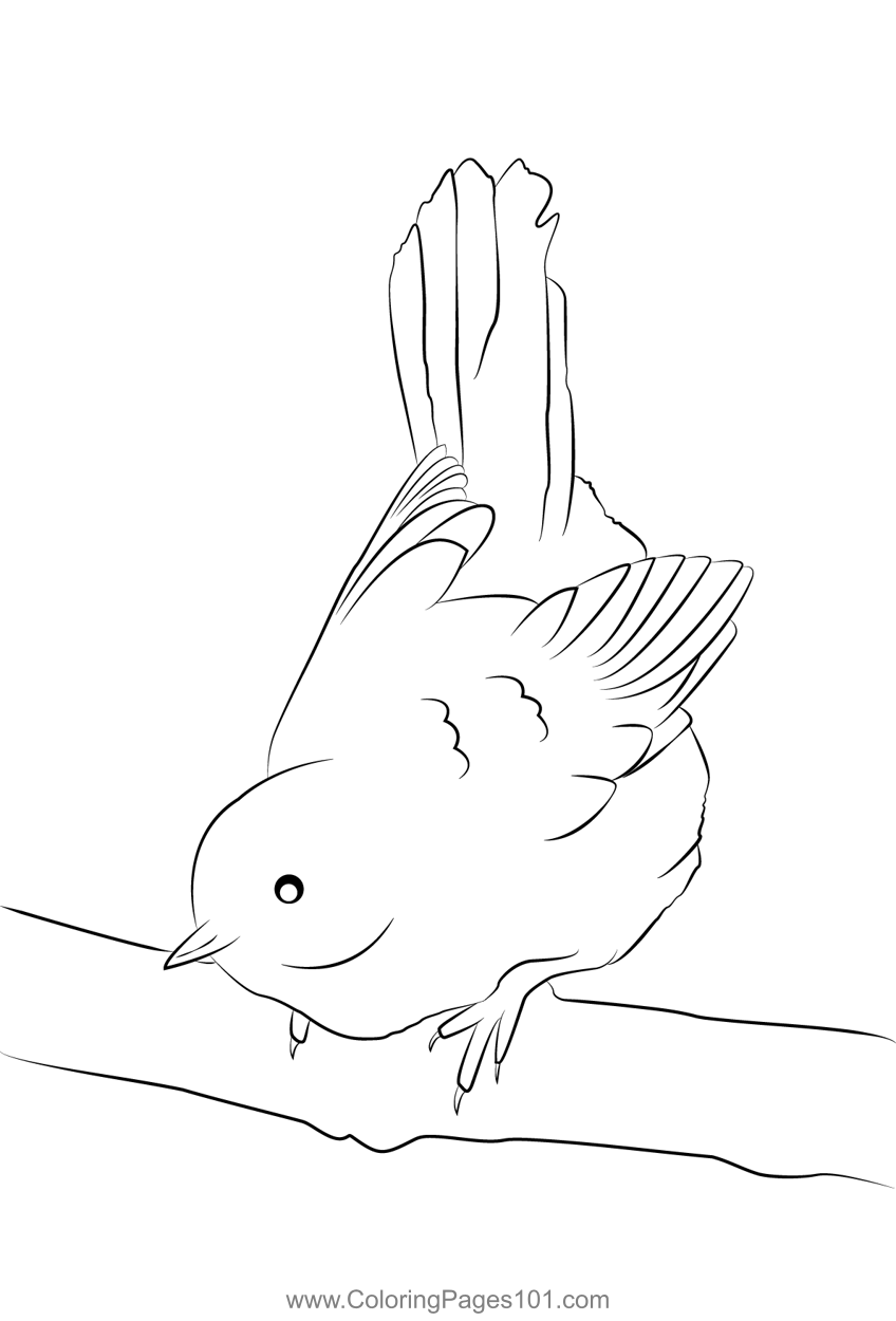 Certti's Warbler 7 Coloring Page for Kids - Free Warblers Printable ...