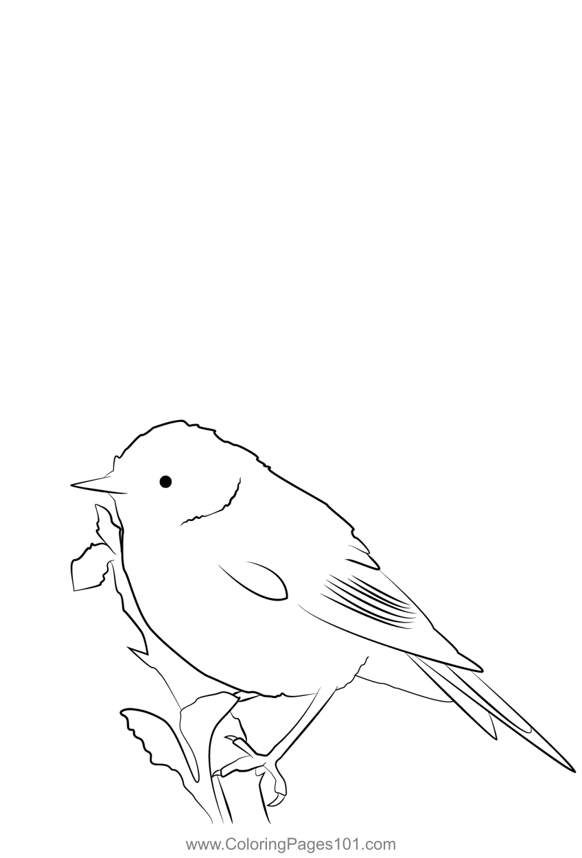 Chiffchaff 5 Coloring Page for Kids - Free Warblers Printable Coloring ...