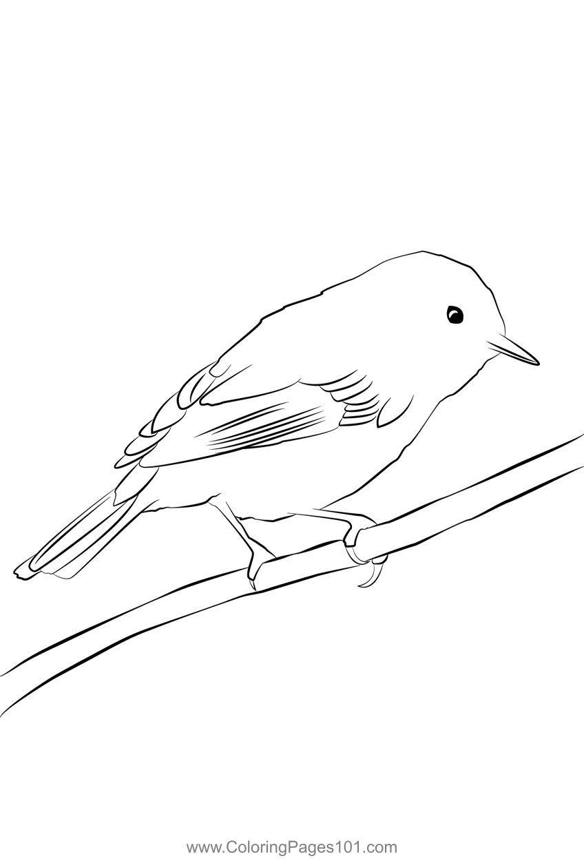 Chiffchaff 8 Coloring Page for Kids - Free Warblers Printable Coloring ...