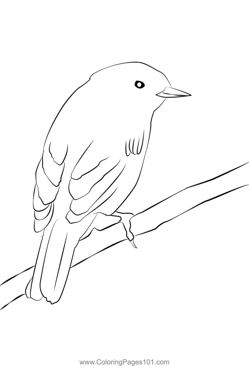 Chiffchaff 9 Coloring Page for Kids - Free Warblers Printable Coloring ...