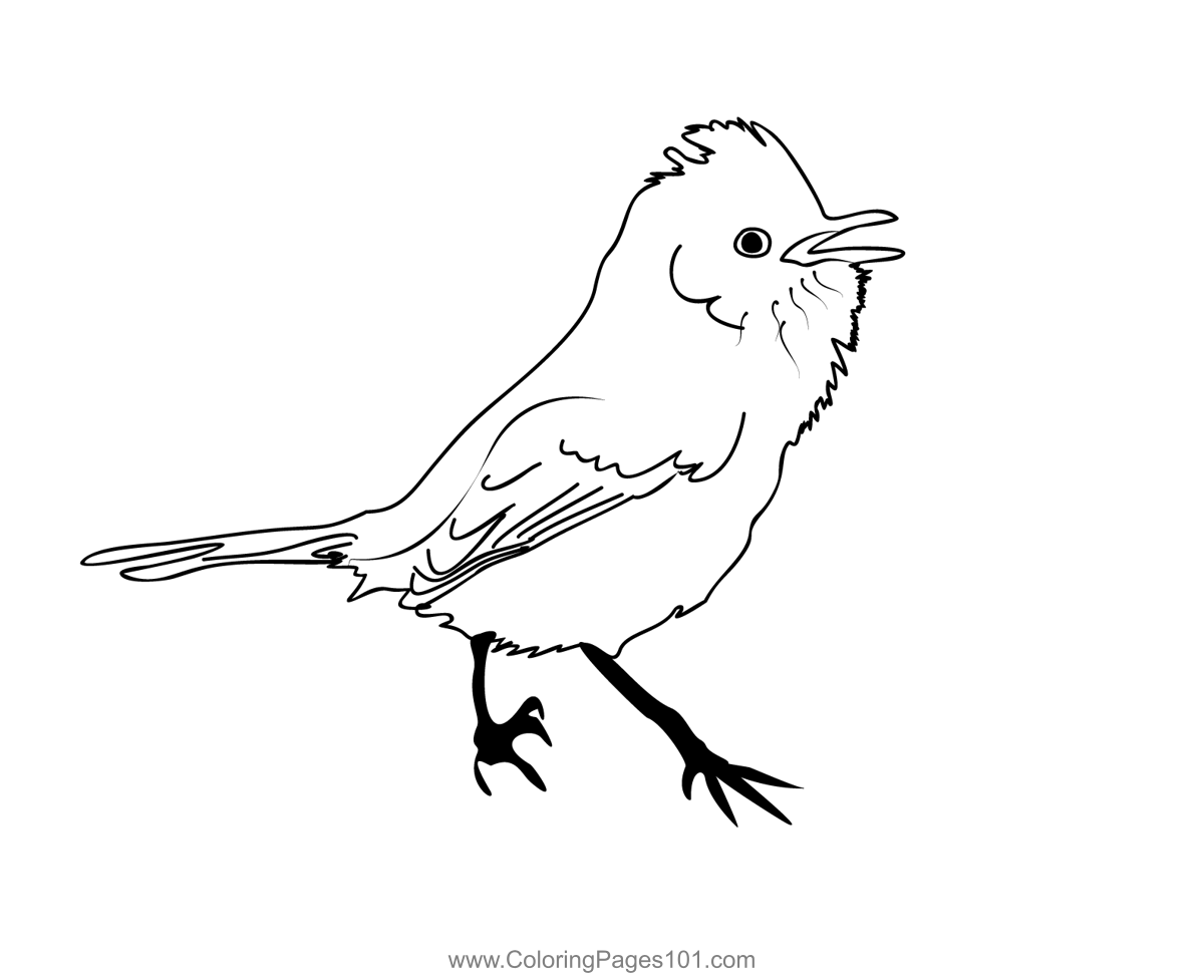 Dartford Warbler 1 Coloring Page for Kids - Free Warblers Printable ...