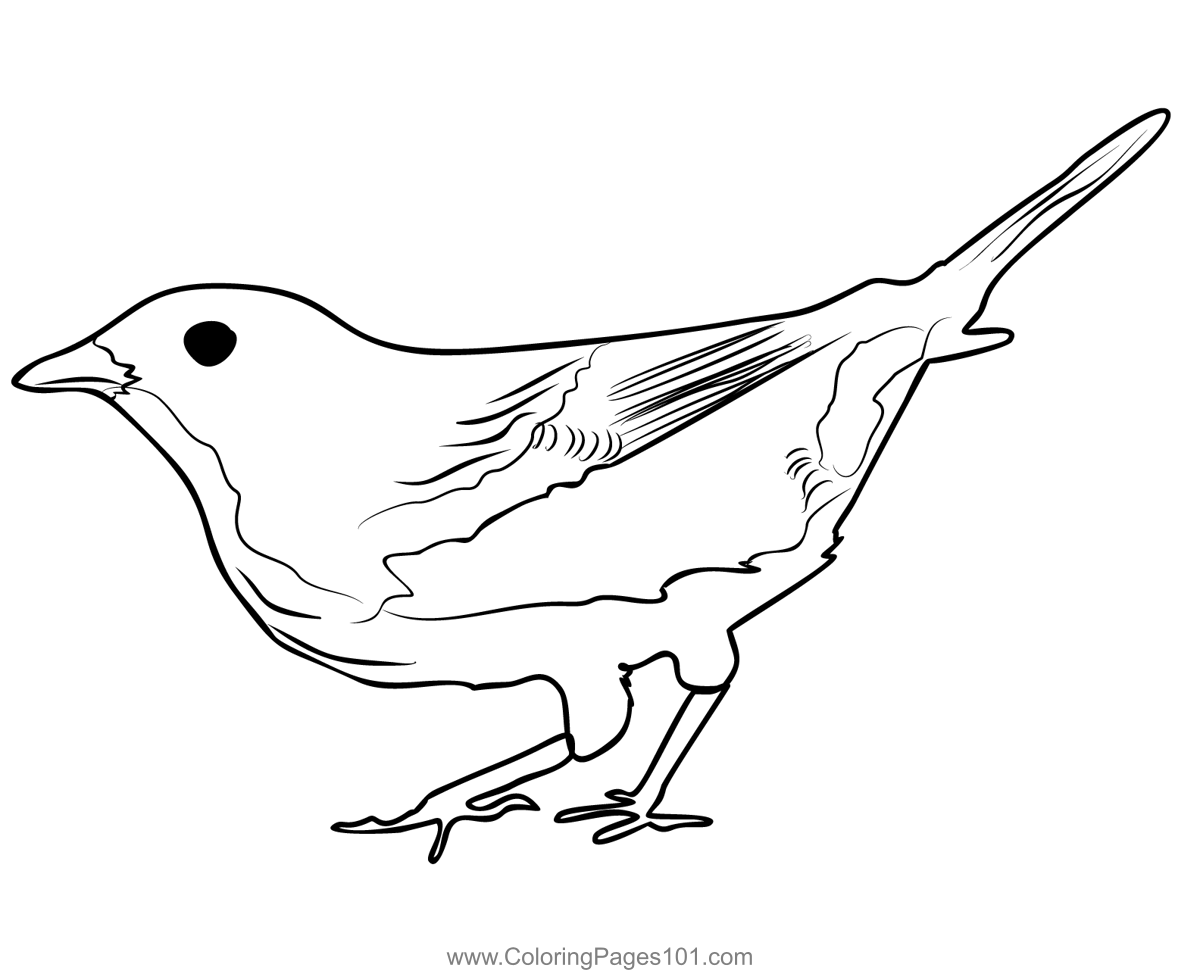 Garden Warbler 1 Coloring Page for Kids - Free Warblers Printable ...