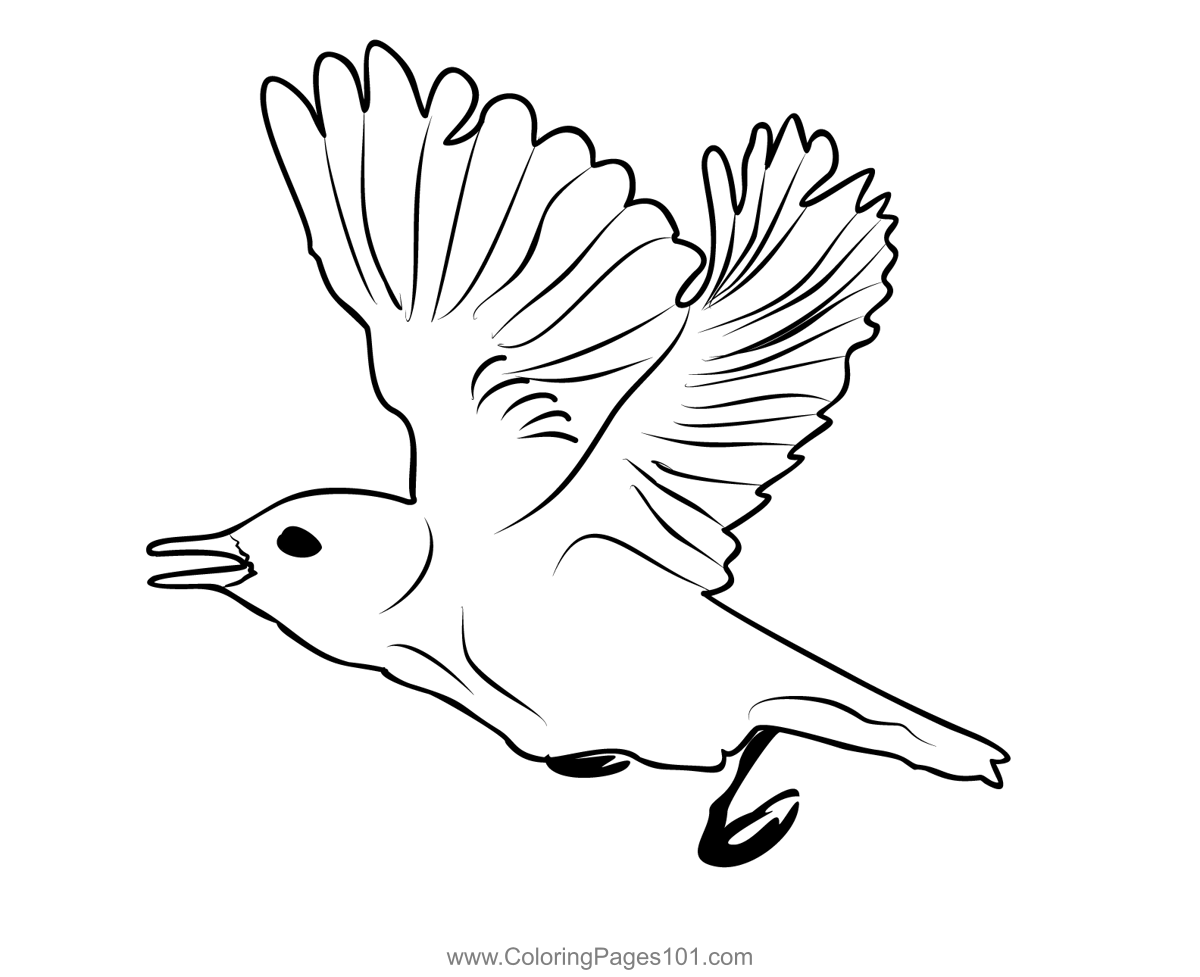Garden Warbler 5 Coloring Page for Kids - Free Warblers Printable ...