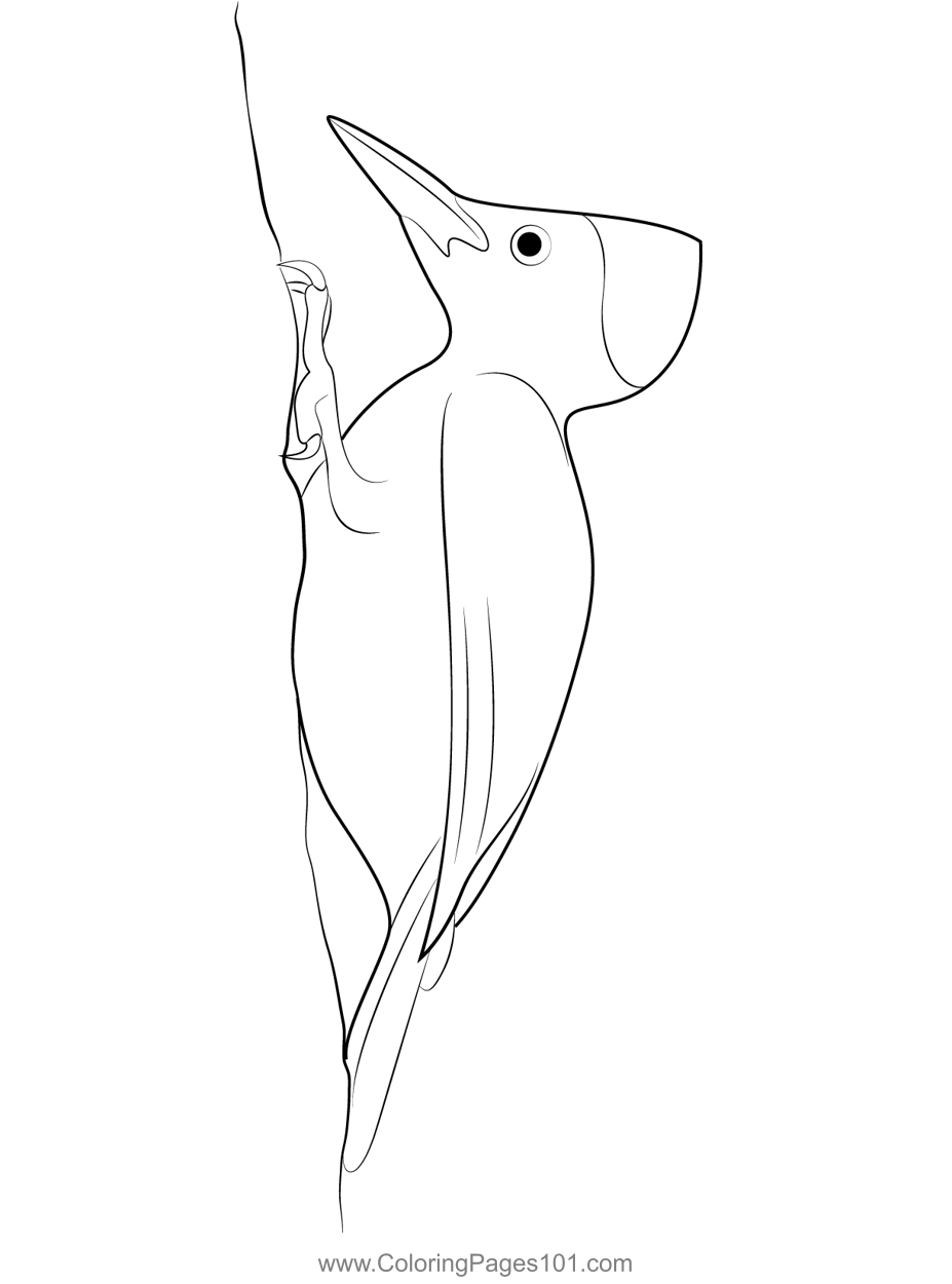 Common Flameback Woodpecker Coloring Page for Kids - Free Woodpeckers ...