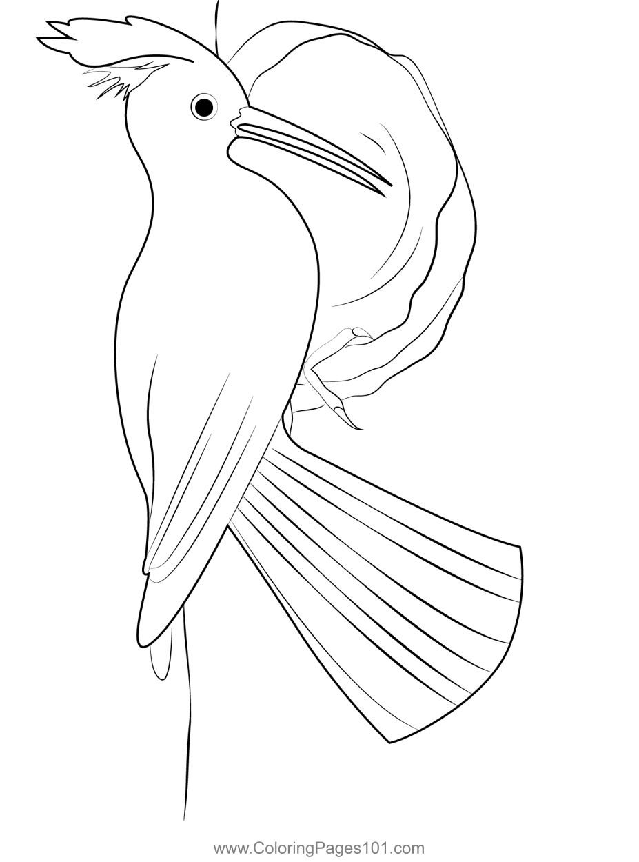 Woodpecker Bird Gucci Depressed Coloring Clipart Cartoon Cory Thoman ...