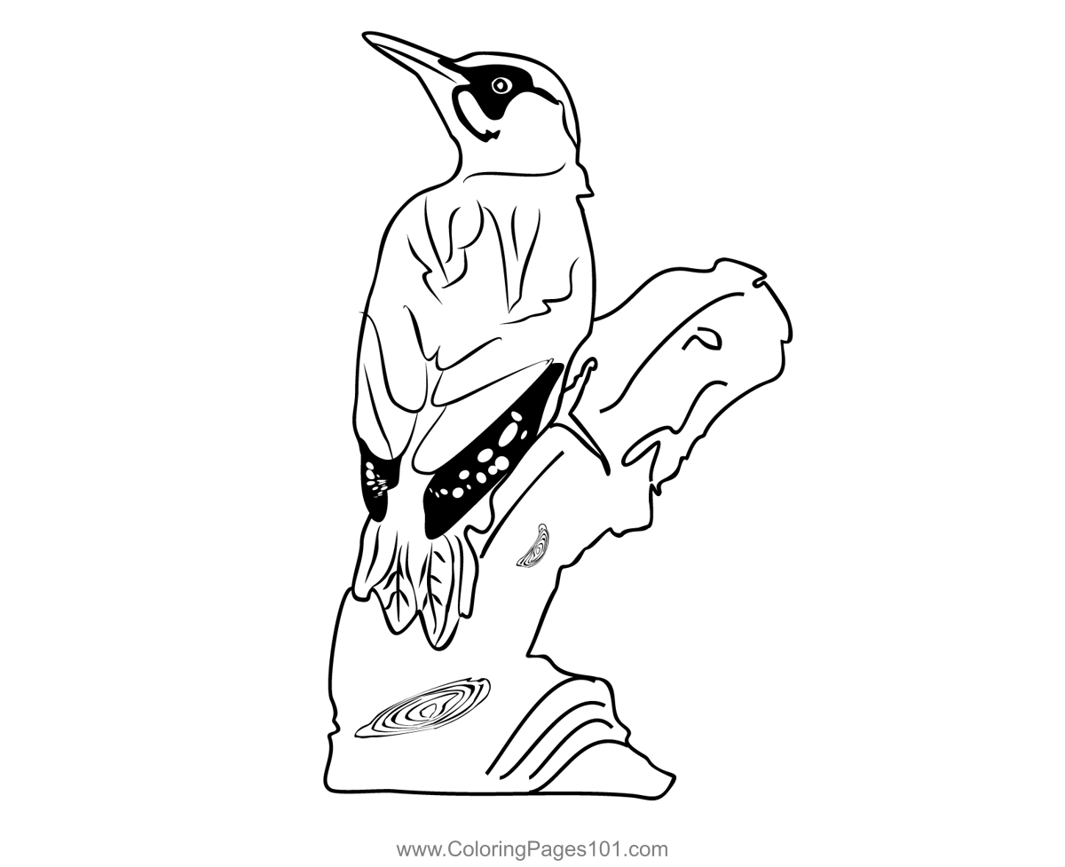 Green Woodpecker 4 Coloring Page for Kids - Free Woodpeckers Printable ...