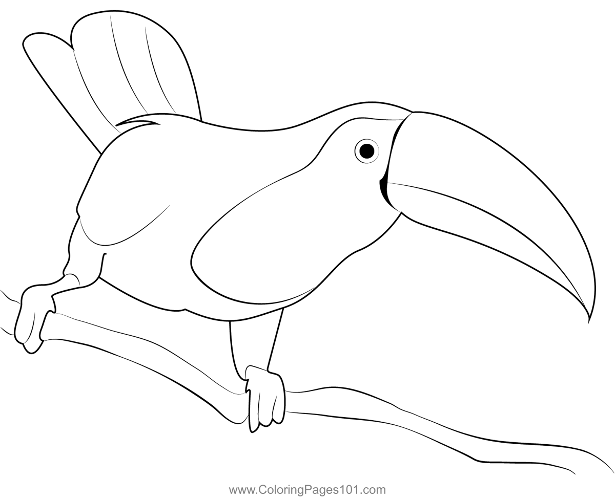 Rainbow Toucan Coloring Page for Kids - Free Woodpeckers Printable ...