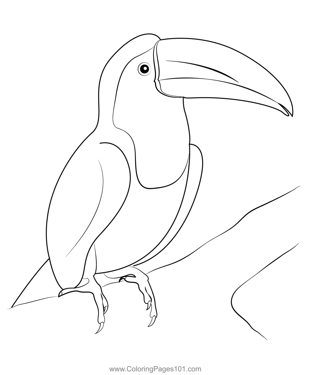 Sitting Toucan Bird Coloring Page for Kids - Free Woodpeckers Printable ...