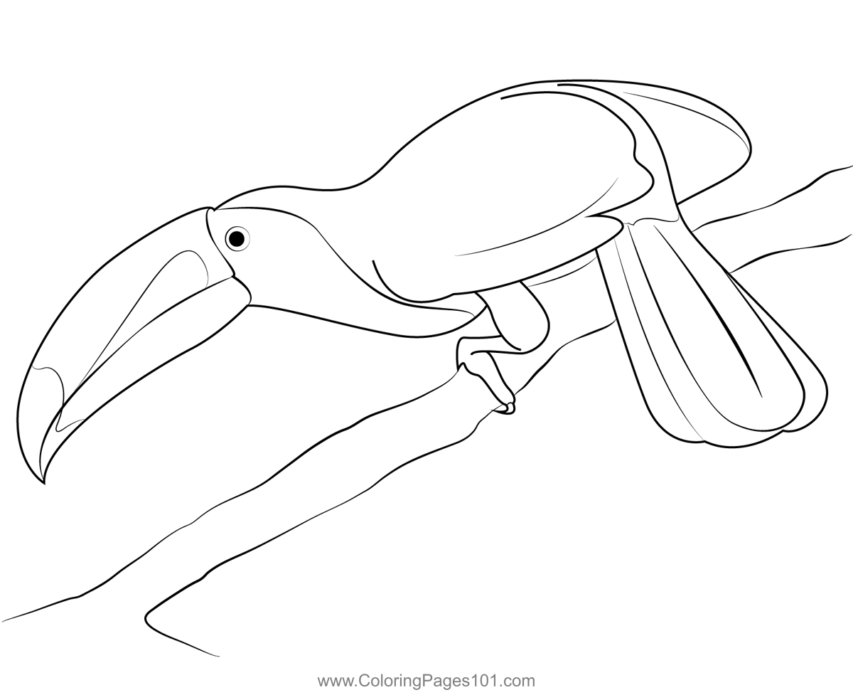 Toucan 13 Coloring Page for Kids - Free Woodpeckers Printable Coloring ...