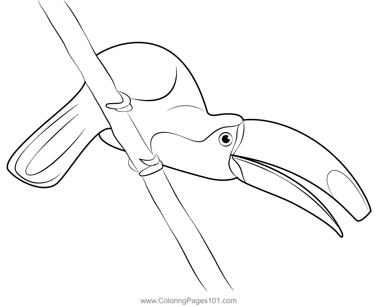 Toucan 15 Coloring Page for Kids - Free Woodpeckers Printable Coloring ...