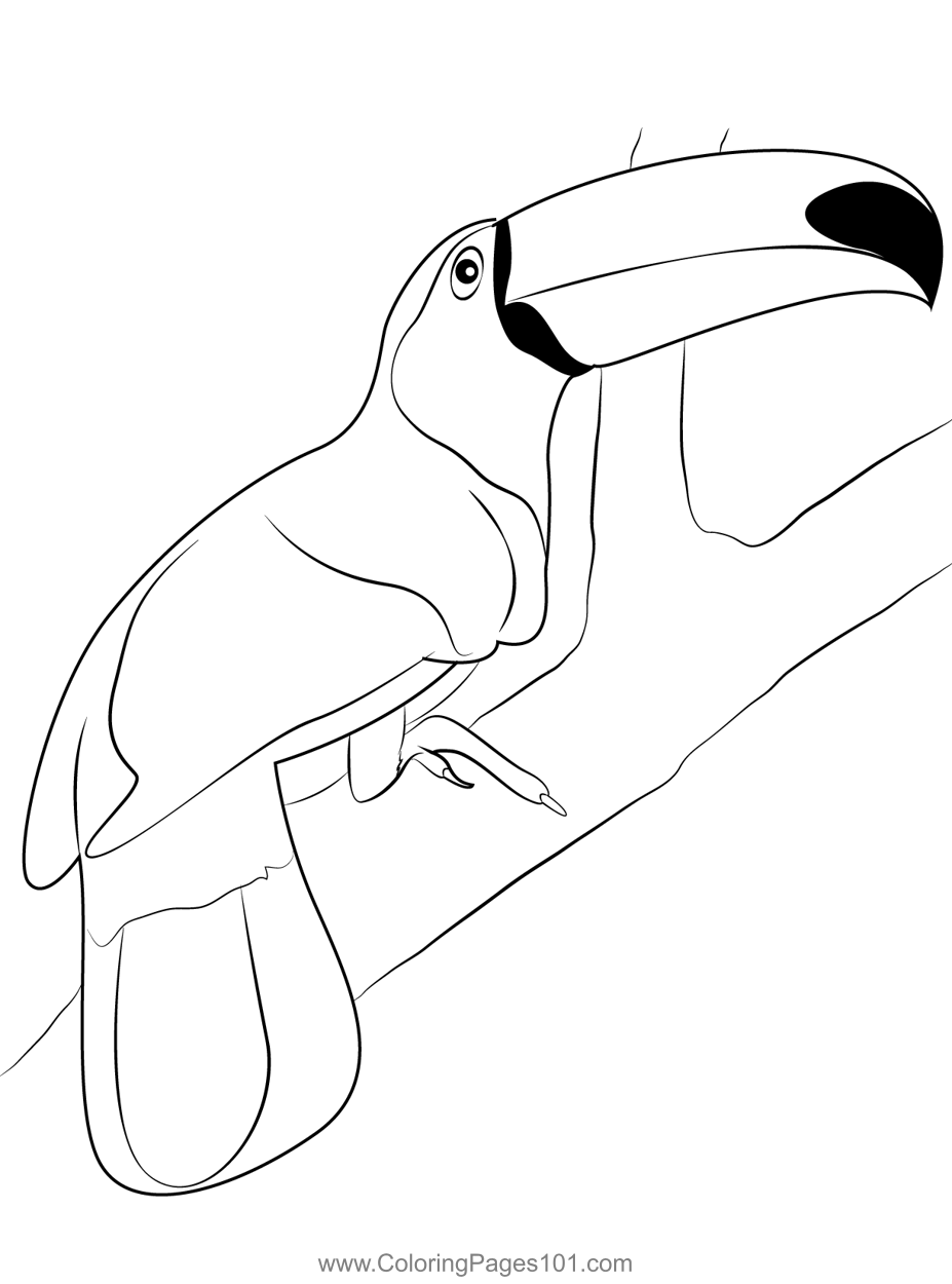 Toucan Coloring Page for Kids - Free Woodpeckers Printable Coloring ...