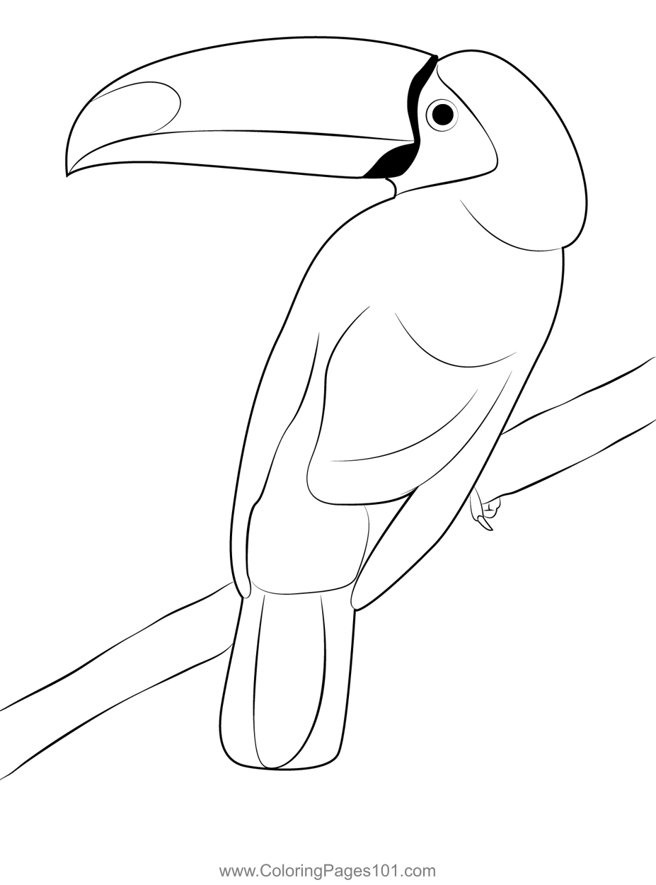 Tucan Bird Sitting On Branch Coloring Page for Kids - Free Woodpeckers ...