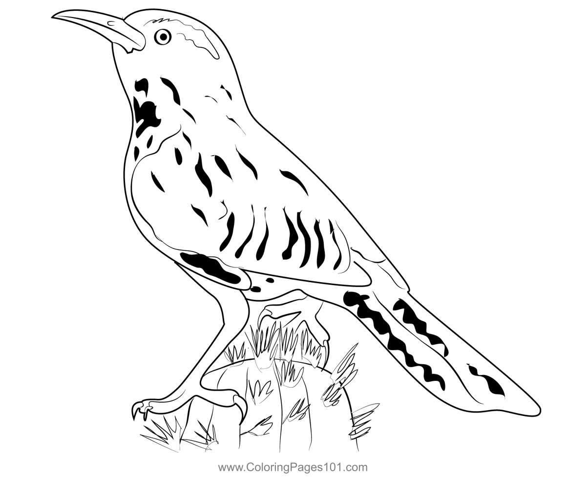 Cactus Blossom Medley Coloring Page for Kids - Free Wrens Printable ...