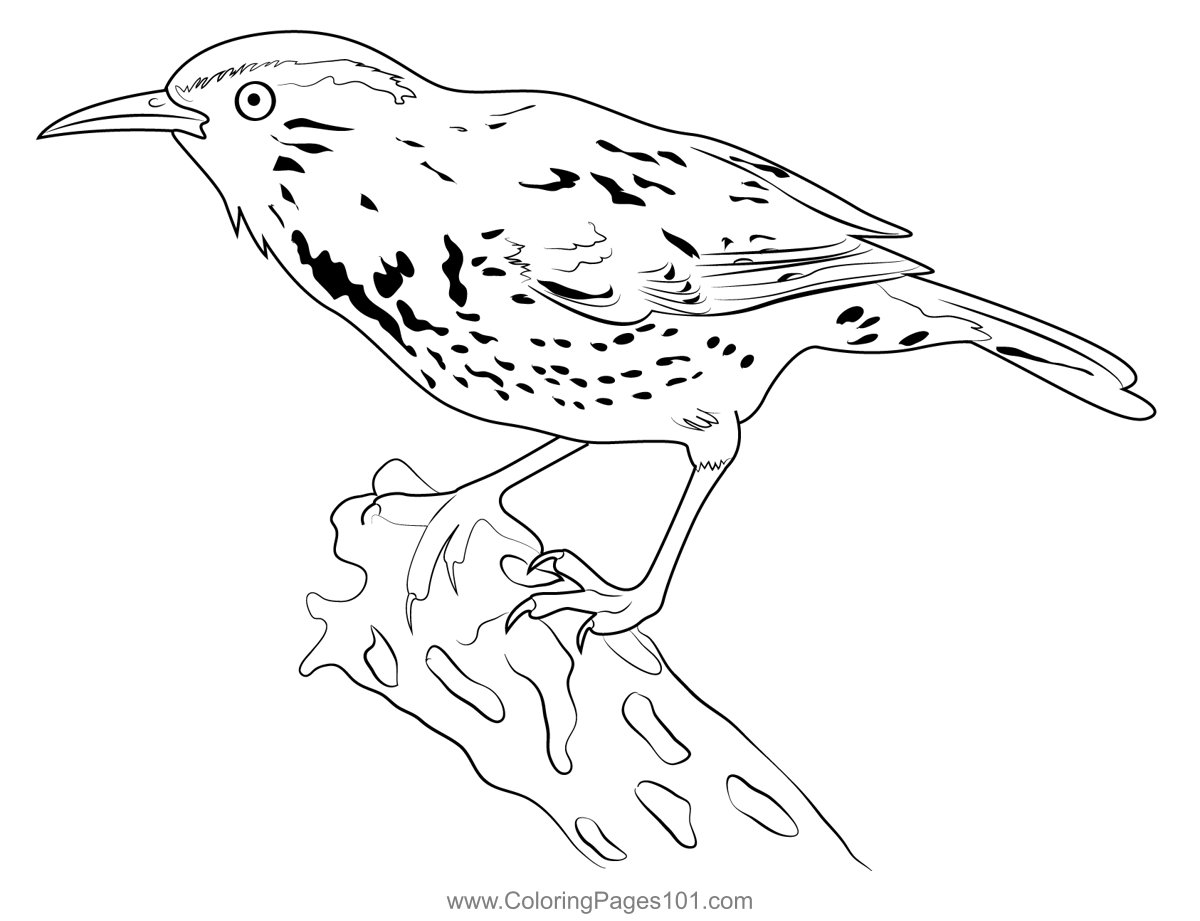 Cactus In Desert Coloring Page for Kids - Free Wrens Printable Coloring ...