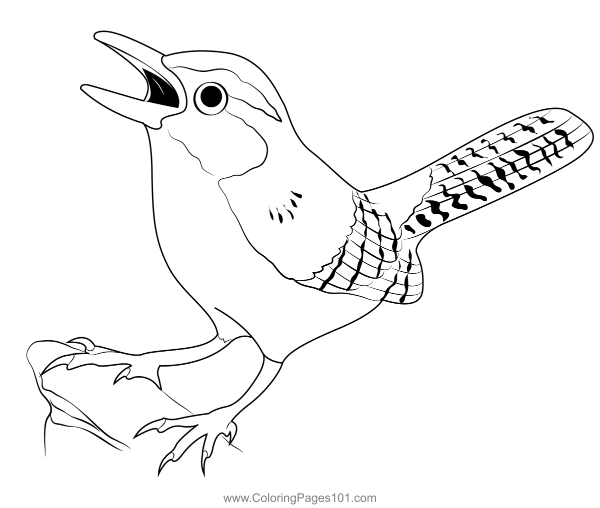 House Wren Coloring Page Coloring Pages