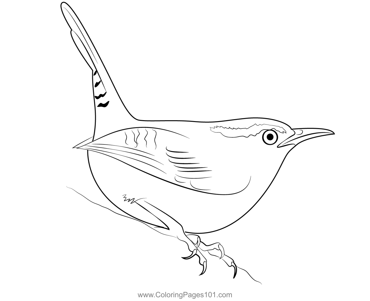 Wren Coloring Page On The Fence