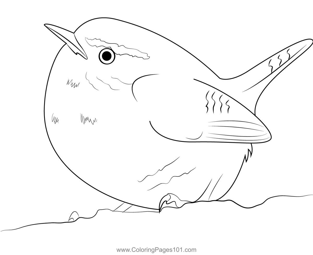 Carolina Wren 5 Coloring Page for Kids - Free Wrens Printable Coloring ...