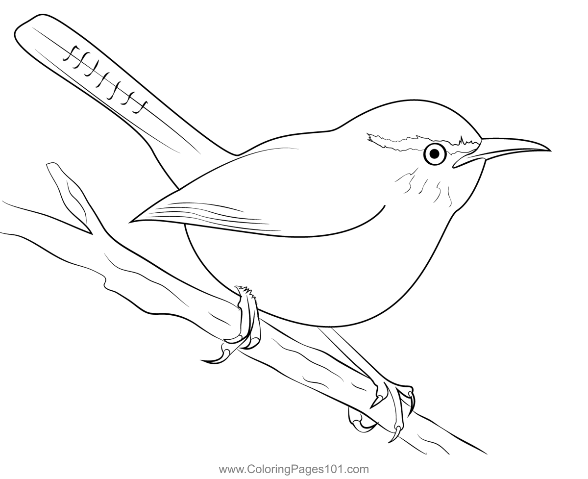 Carolina Wren 8 Coloring Page for Kids - Free Wrens Printable Coloring ...