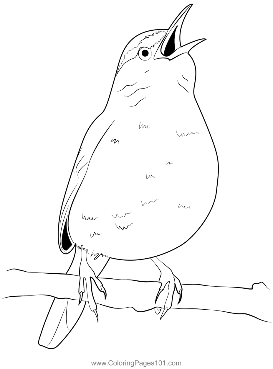 Wren Coloring Page On The Fence