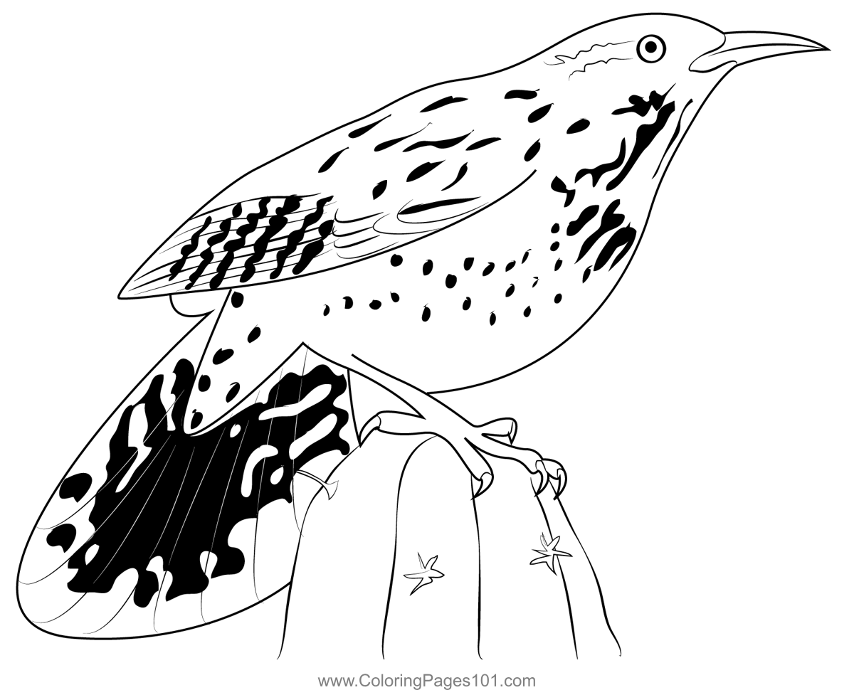 The Coastal Cactus Wrens Coloring Page for Kids - Free Wrens Printable ...