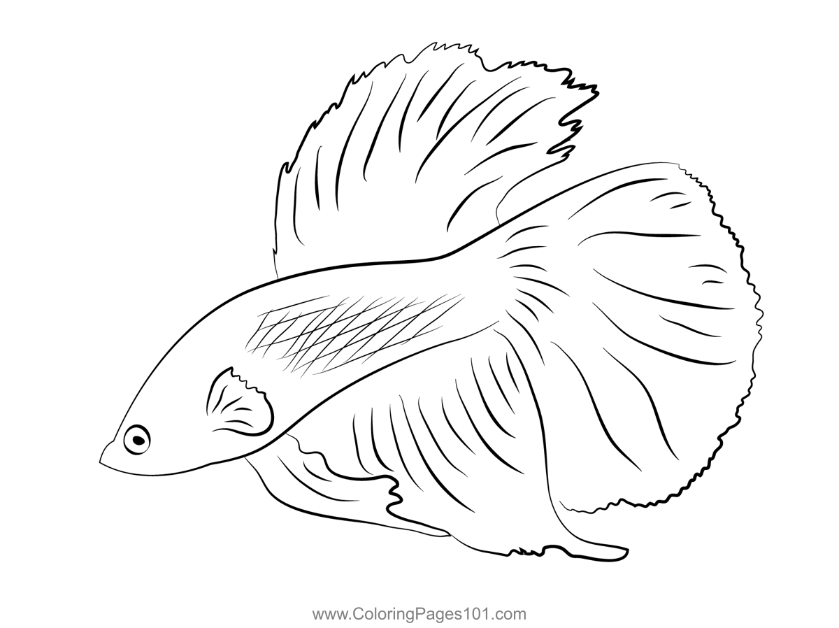 Betta Fish See Down Coloring Page for Kids - Free Betta fishes ...
