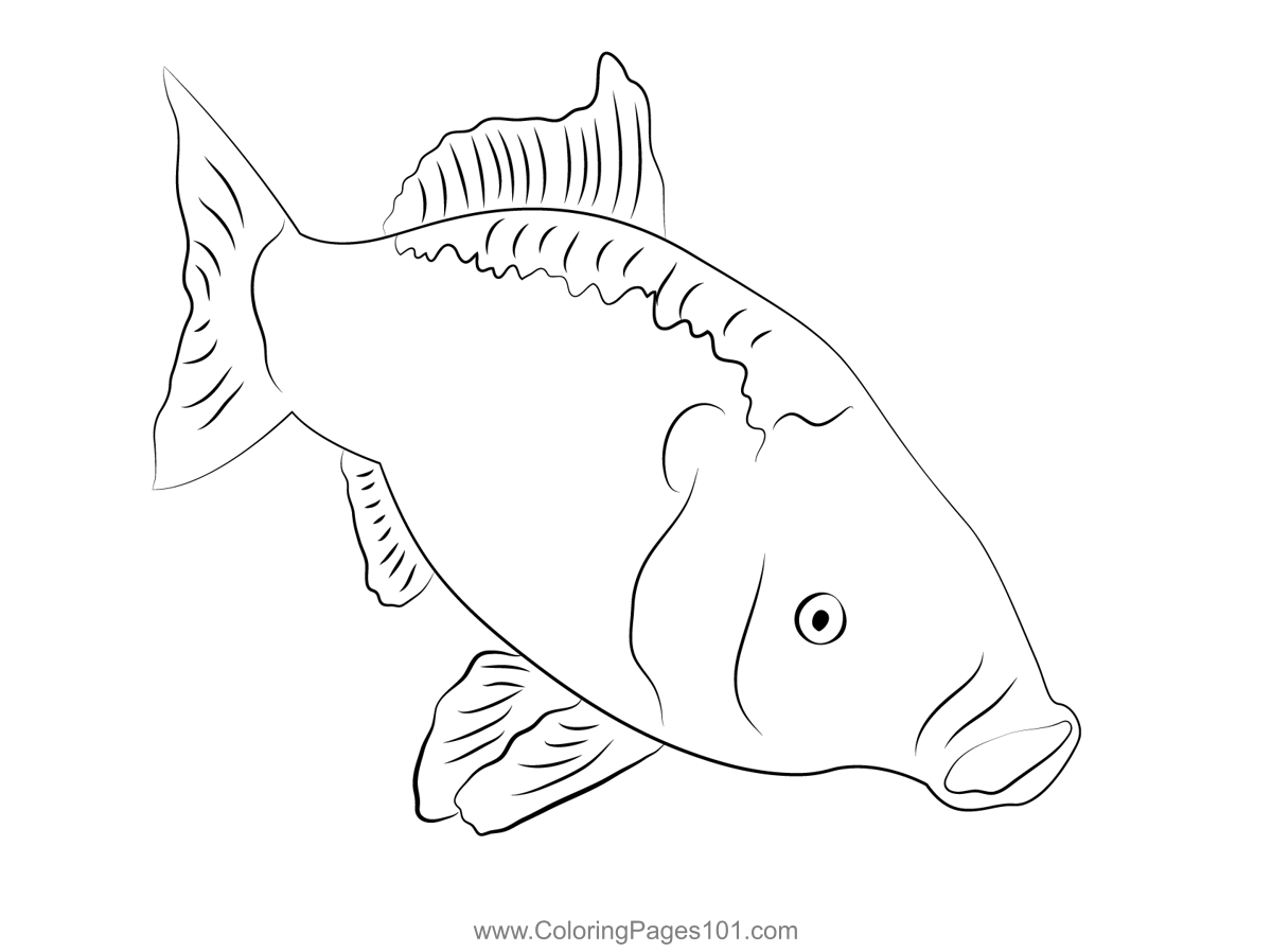 Carp Green Fishing Coloring Page for Kids - Free Carps Printable ...