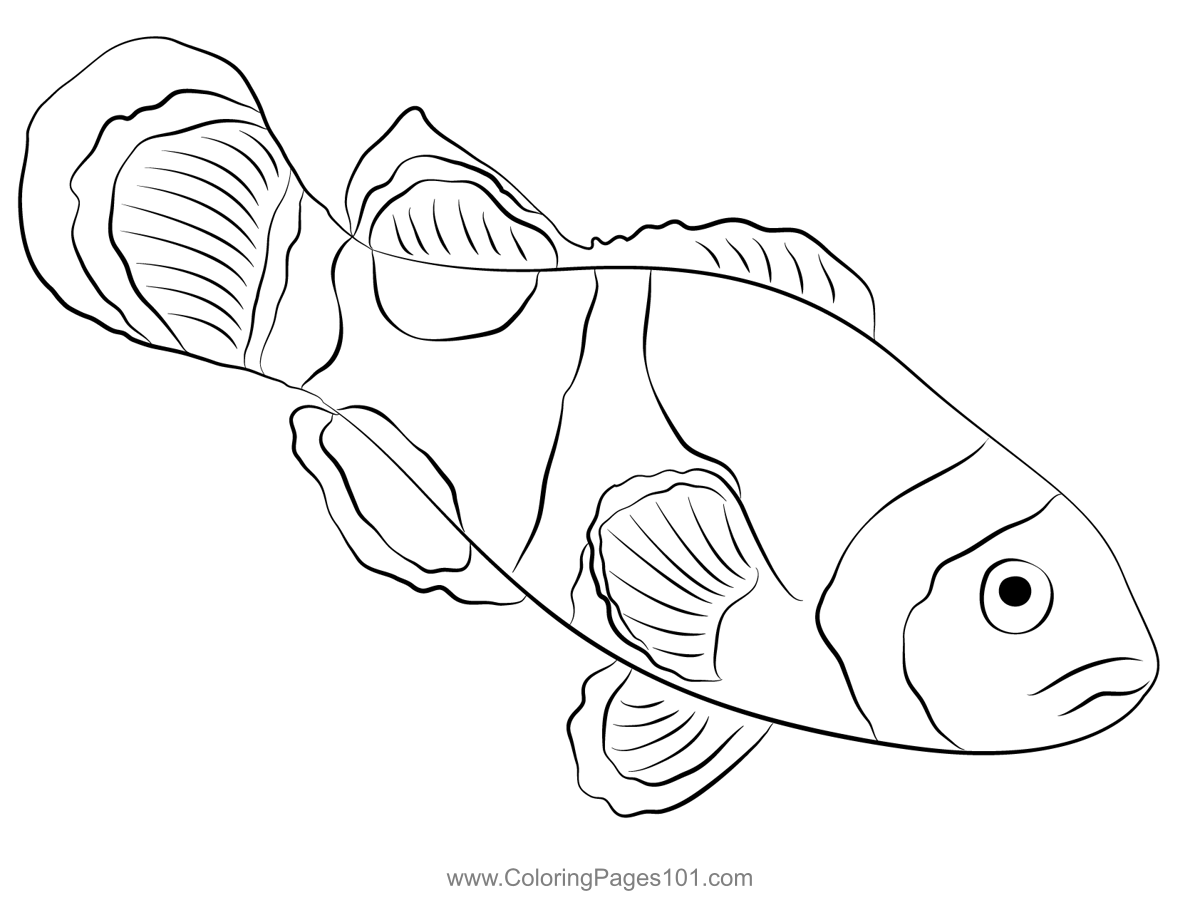 Animals Clownfish Slide Coloring Page for Kids - Free Clownfishes ...